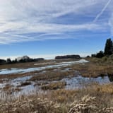 Barn Island Wildlife Management Area Trail, Connecticut - 715 Reviews ...