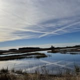 Barn Island Wildlife Management Area Trail, Connecticut - 715 Reviews ...