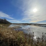 Barn Island Wildlife Management Area Trail, Connecticut - 715 Reviews ...