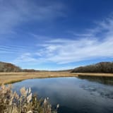 Barn Island Wildlife Management Area Trail, Connecticut - 715 Reviews ...