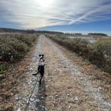 Barn Island Wildlife Management Area Trail, Connecticut - 715 Reviews ...
