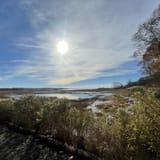 Barn Island Wildlife Management Area Trail, Connecticut - 594 Reviews ...