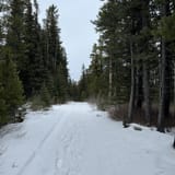 Mount Allan from Dead Man's Flats, Alberta, Canada - 71 Reviews, Map ...