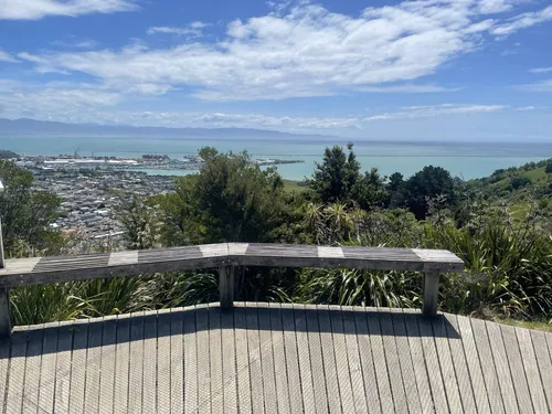 Best Hikes and Trails in Nelson Botanical Reserve | AllTrails