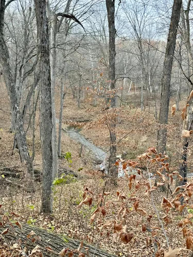Best Hikes and Trails in Riley Creek Conservation Area | AllTrails