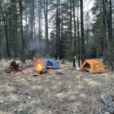 Cabin Loop Trail, Arizona - 250 Reviews, Map | AllTrails
