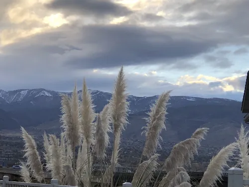 Best Hikes and Trails in Damonte Ranch Park | AllTrails