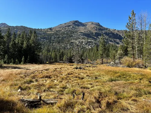 Best Walking Trails in Coleville | AllTrails