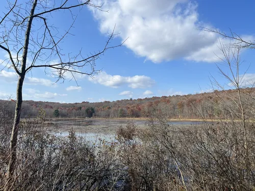 Best Hikes and Trails in Lackawaxen Township | AllTrails