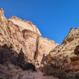Capitol Gorge to Tanks Trail, Utah - 1,267 Reviews, Map | AllTrails