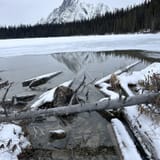Karst Spring Trail, Alberta, Canada - 866 Reviews, Map | AllTrails