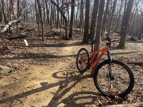 2023 Best Wild Flowers Trails in Great Cacapon | AllTrails