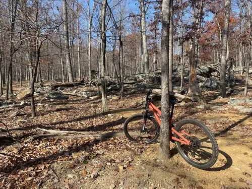 2023 Best Wild Flowers Trails in Great Cacapon | AllTrails