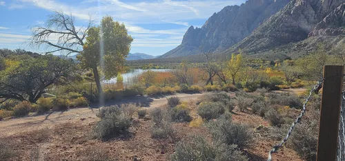 Best Hikes and Trails in Spring Mountain Ranch State Park | AllTrails