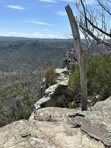 10 Best Trails and Hikes in Mount Victoria | AllTrails