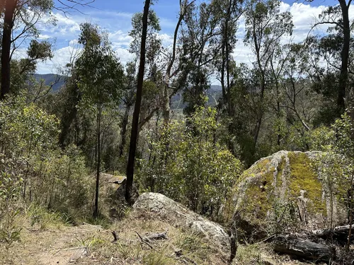 Best Hikes and Trails in Little Hartley | AllTrails