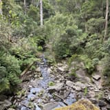 The Canyon (Lorne Waterfalls Circuit), Victoria, Australia - 580 ...