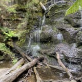 The Canyon (Lorne Waterfalls Circuit), Victoria, Australia - 580 ...