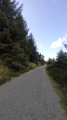 2023 Best Moderate Trails in Three Rock Wood | AllTrails