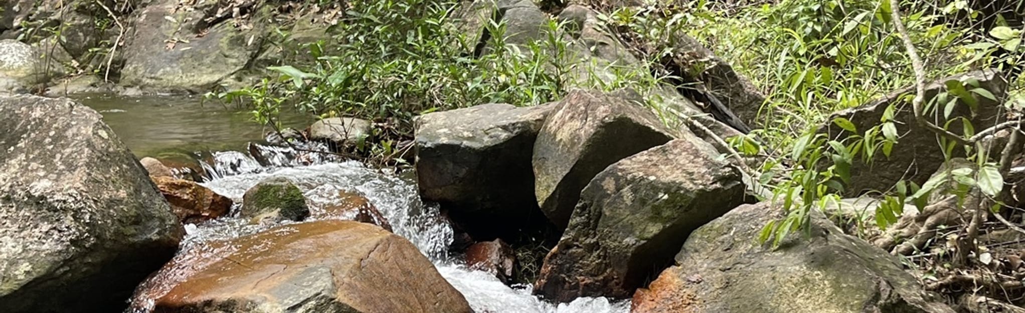 Bang Wan Waterfall Extended Loop: 18 foto's - Changwat Phuket, Thailand | Wandelen - AllTrails