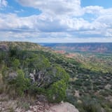 Rock Garden Trail, Texas - 967 Reviews, Map | AllTrails