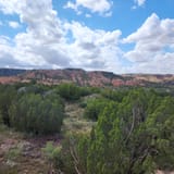 Rock Garden Trail, Texas - 967 Reviews, Map | AllTrails