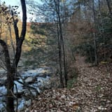 Laurel River Trail, North Carolina - 1,310 Reviews, Map | AllTrails