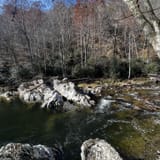 Laurel River Trail, North Carolina - 1,310 Reviews, Map | AllTrails