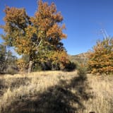 Reavis Ranch Trail to Fire Line Trail, Arizona - 111 Reviews, Map ...