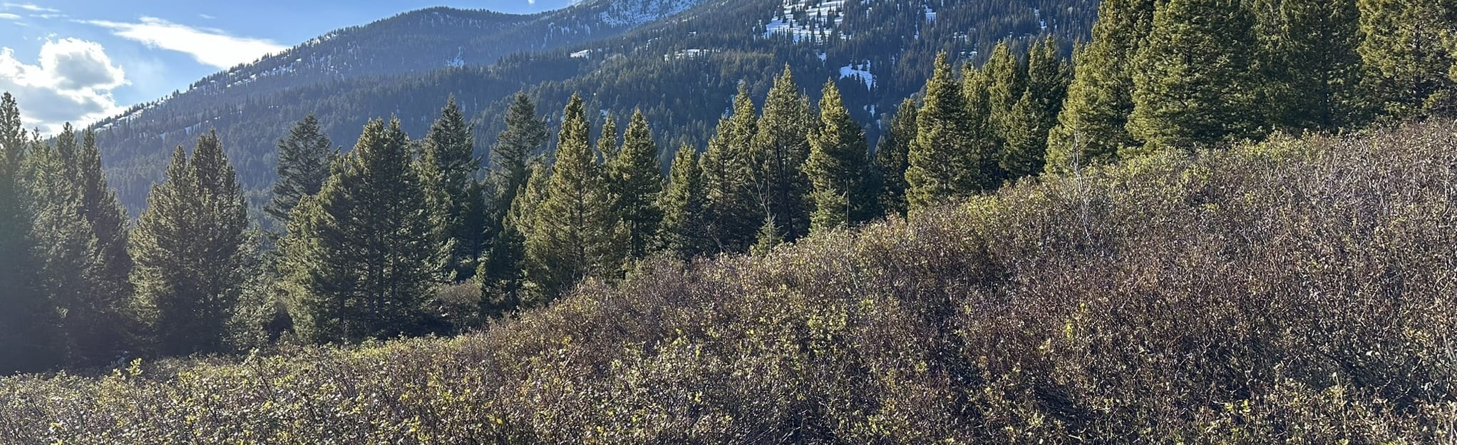 Teton Valley Trail, Wyoming - 36 Reviews, Map | AllTrails