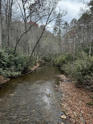 Best Hikes and Trails in Mills River | AllTrails