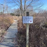 Broad Meadow Brook Trail, Massachusetts - 831 Reviews, Map | AllTrails