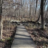 Broad Meadow Brook Trail, Massachusetts - 831 Reviews, Map | AllTrails