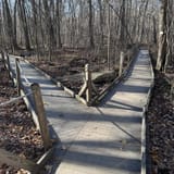 Broad Meadow Brook Trail, Massachusetts - 831 Reviews, Map | AllTrails