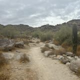 Mormon Loop and National Trail, Arizona - 2,508 Reviews, Map | AllTrails