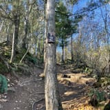 Abby Grind, British Columbia, Canada - 2,116 Reviews, Map | AllTrails