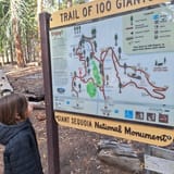 Trail of 100 Giants, California - 779 Reviews, Map | AllTrails