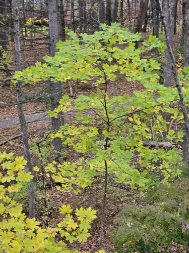 Best Hikes and Trails in Mine Falls Park | AllTrails