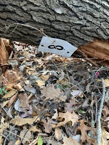 Best Hikes and Trails in Clinton Lake State Recreation Area | AllTrails