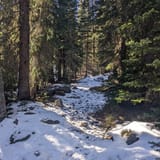 Middle St. Vrain Trail, Colorado - 775 Reviews, Map | AllTrails