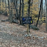Brook Trail, New Hampshire - 1,230 Reviews, Map | AllTrails