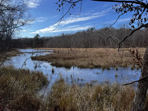 Best Forest Trails in Rochert | AllTrails