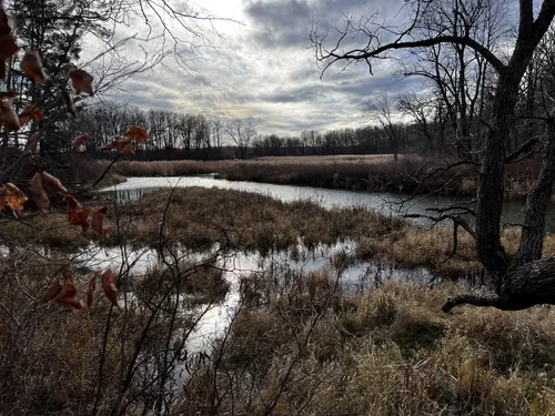 Best Forest Trails in Rochert | AllTrails