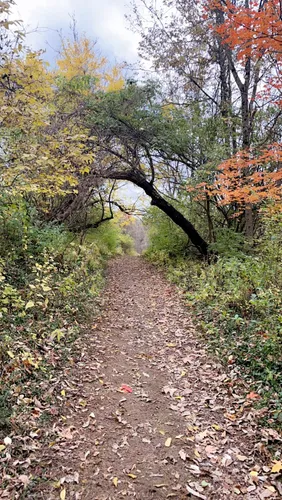 Best Hikes and Trails in French Park | AllTrails