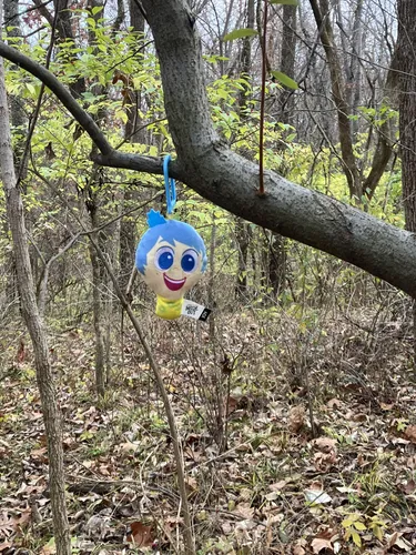 Best Hikes and Trails in Clinton Lake State Recreation Area | AllTrails