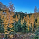 Blue Lake Trail, Washington - 3,547 Reviews, Map | AllTrails