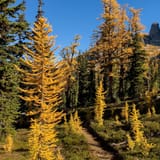 Blue Lake Trail, Washington - 3,553 Reviews, Map | AllTrails