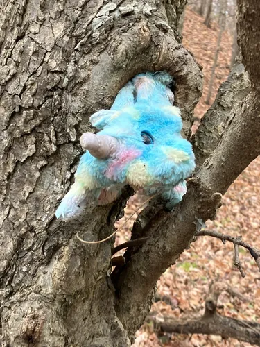 Best Hikes and Trails in Clinton Lake State Recreation Area | AllTrails