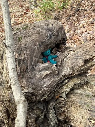 Best Hikes and Trails in Clinton Lake State Recreation Area | AllTrails