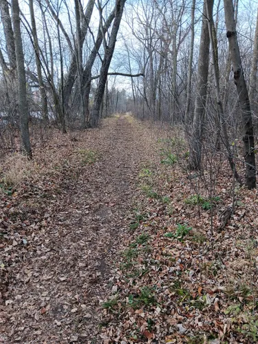2023 Best Partially Paved Trails in Wausau | AllTrails 2023 Best Partially Paved Trails in Wausau | AllTrails